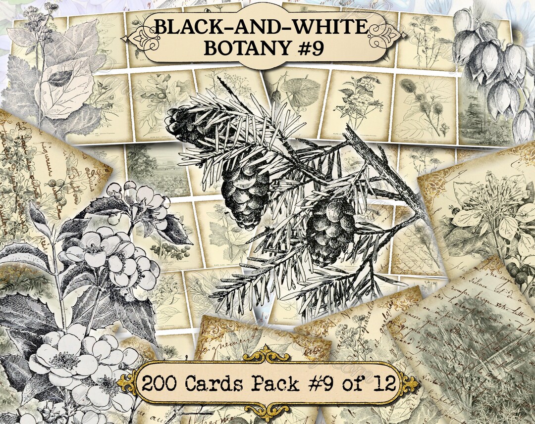 Black-and-white Botany 9 Set of 200 ATC Cards in JPG Format With ...