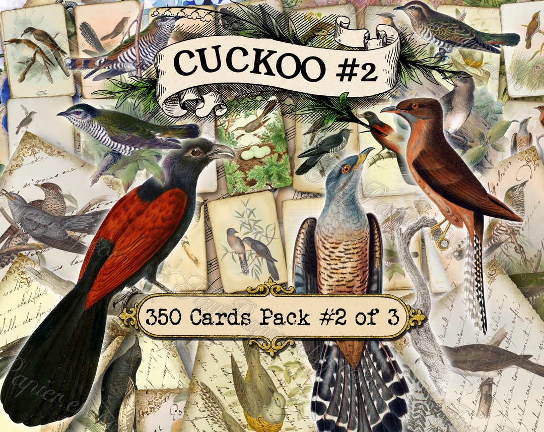 Cuckoo 2 Set of 40 Pictures on 350 Cards in JPG With Antique ...