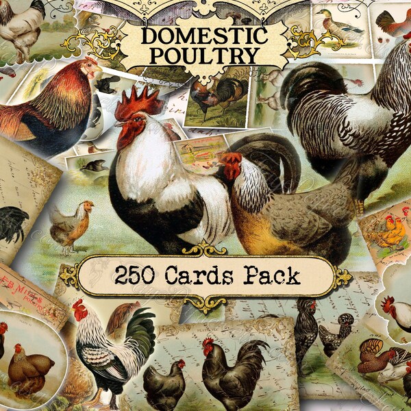 Antique Chickens - Etsy