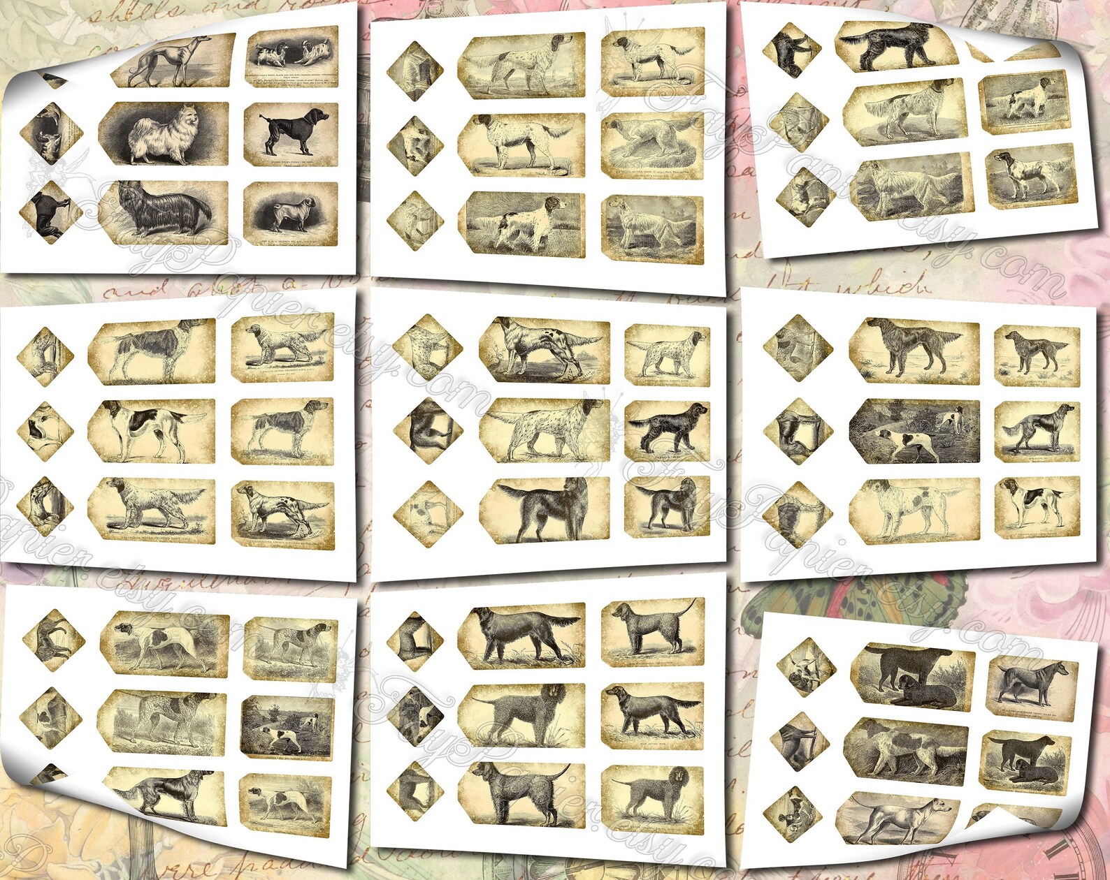 Black-and-white Dogs 6 Set of 40 Pictures on 300 Cards With - Etsy