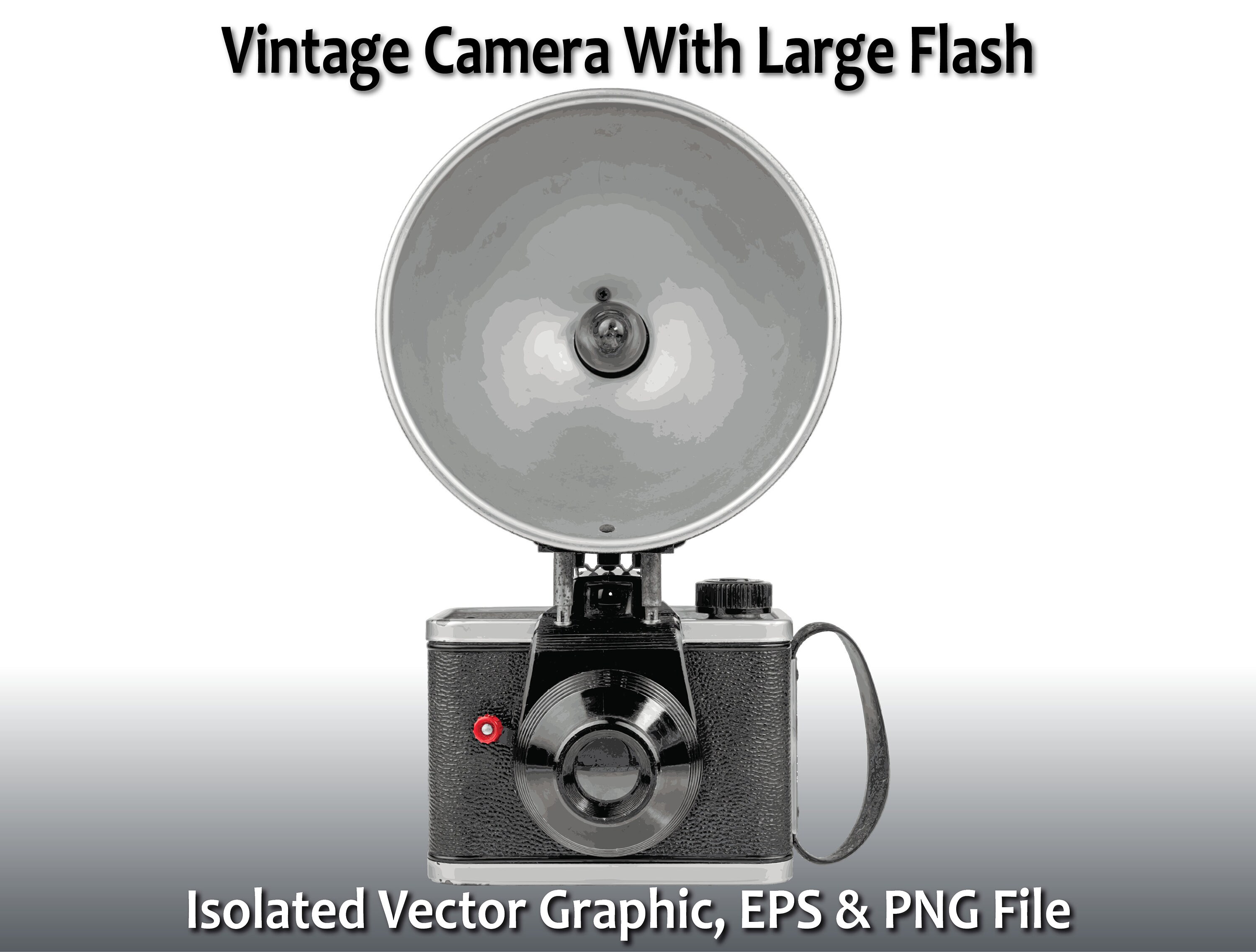 Camera Flash Vector