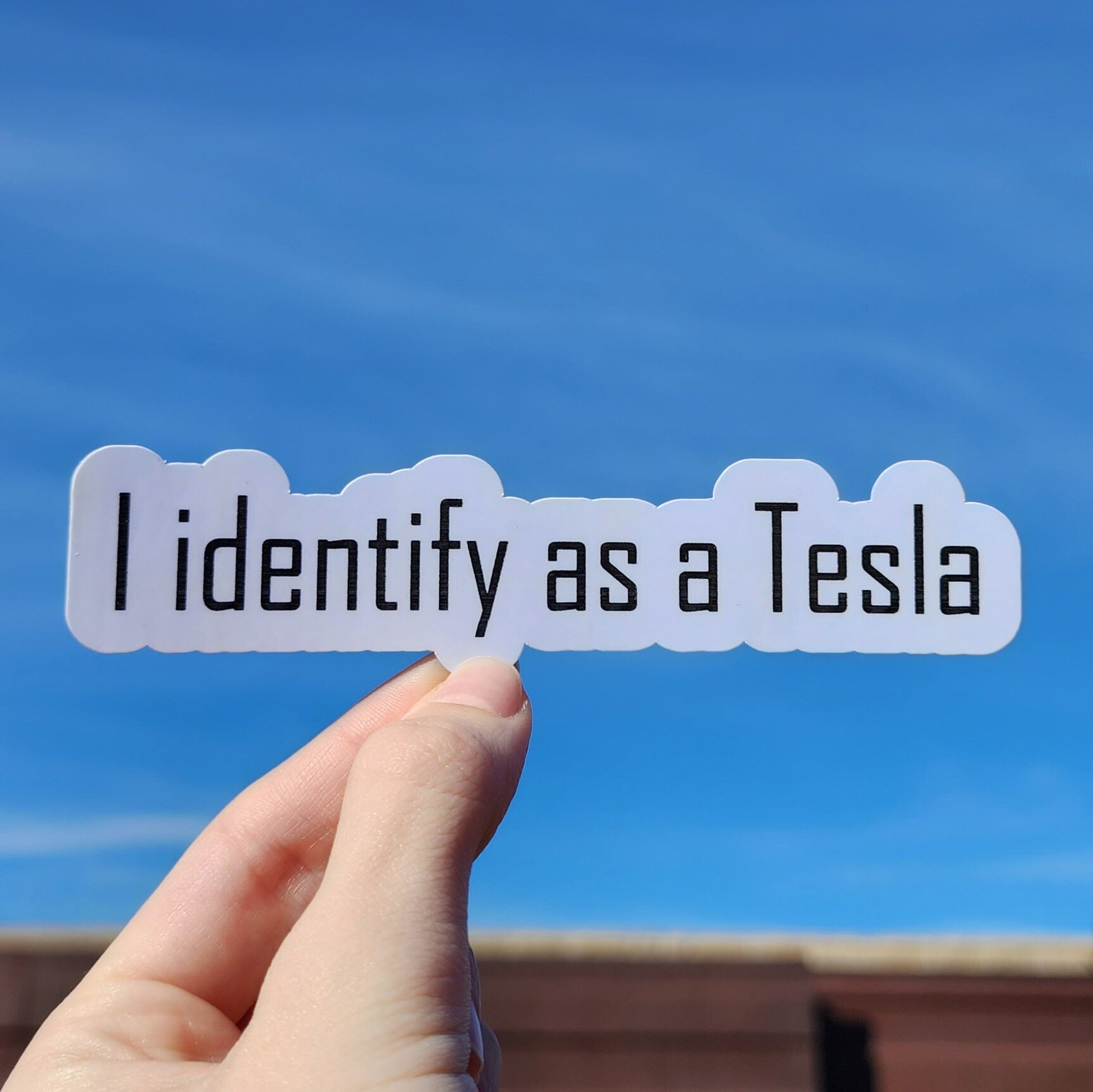 I Identify as a Tesla - Funny High Quality Sticker - Etsy