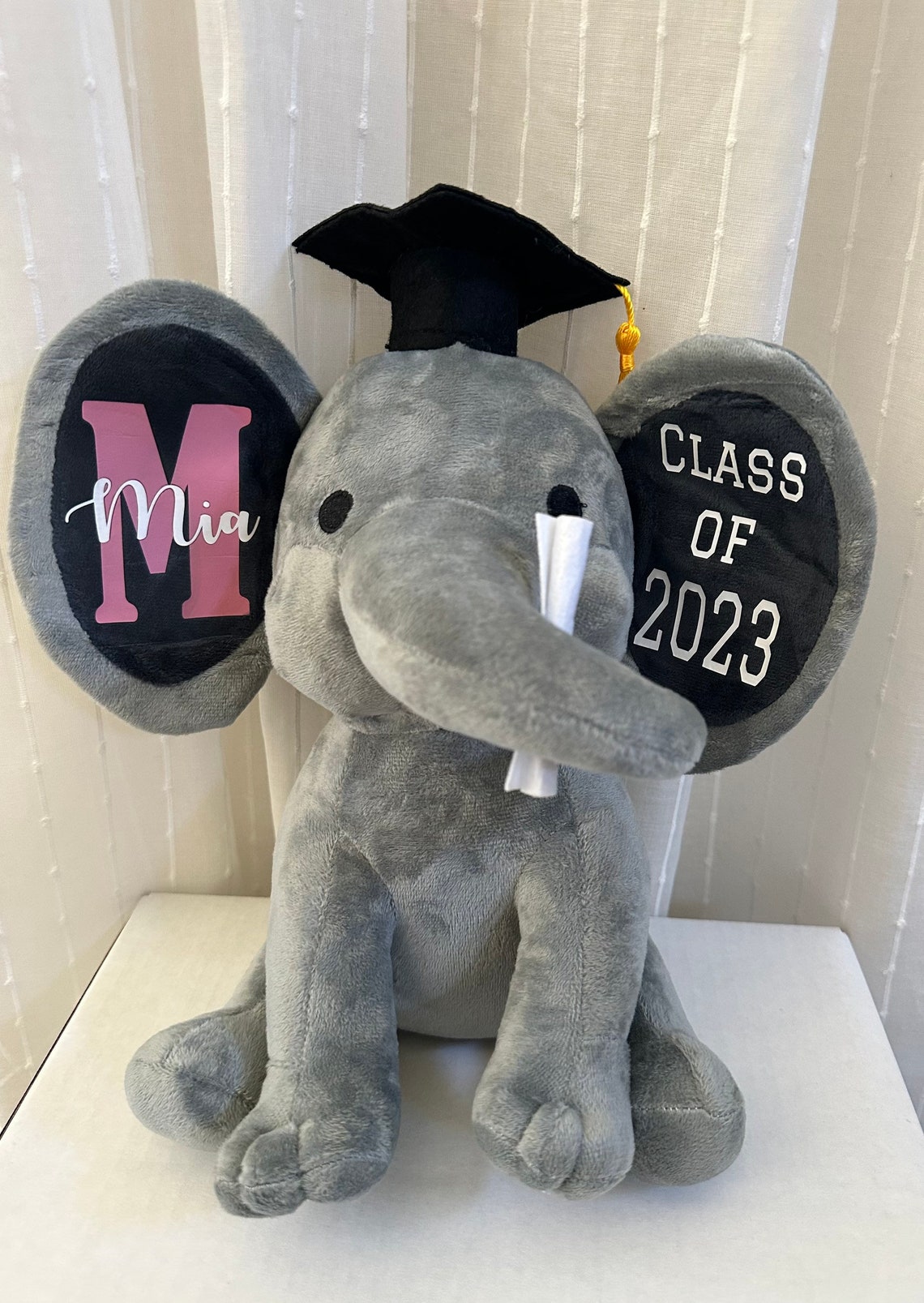 Personalized Graduation Gift, Graduation Keepsake, Class of 2024 ...