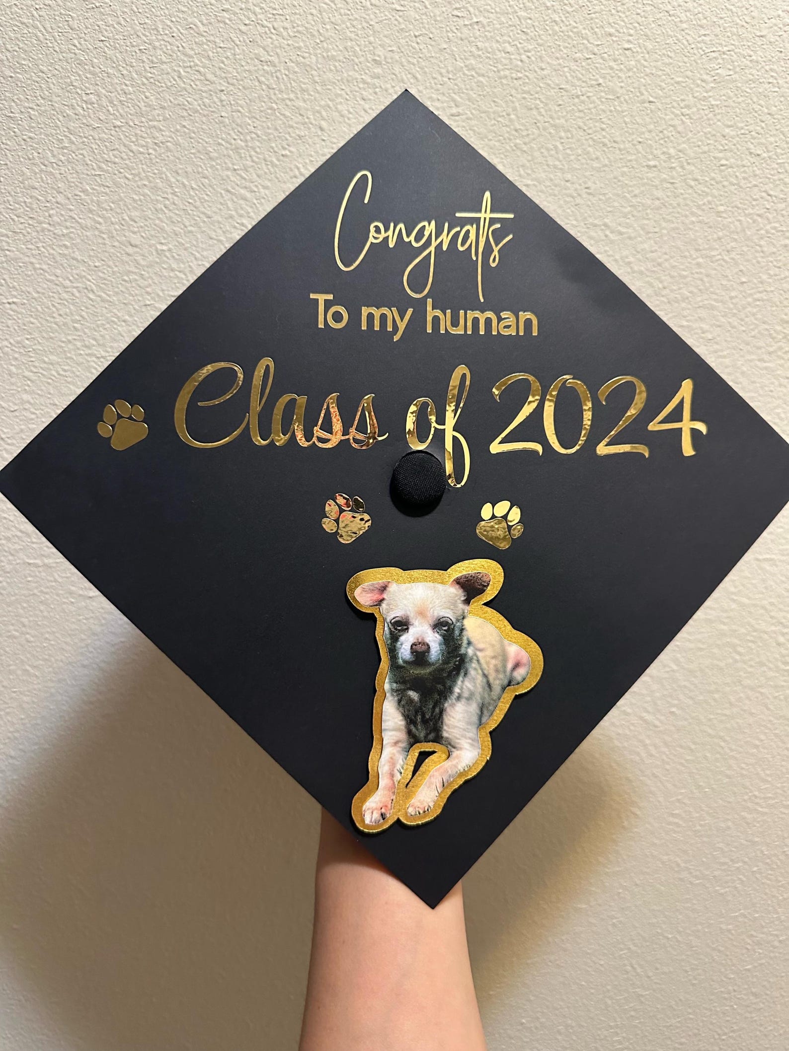 Custom Graduation Cap Topper, Graduation Cap Decor, Personalized Grad ...