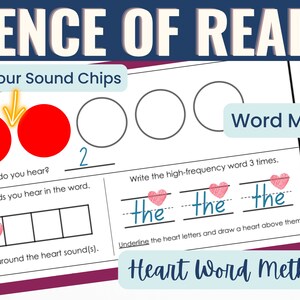 CVC Words | Sight Word Worksheets and Practice | Science of Reading ...