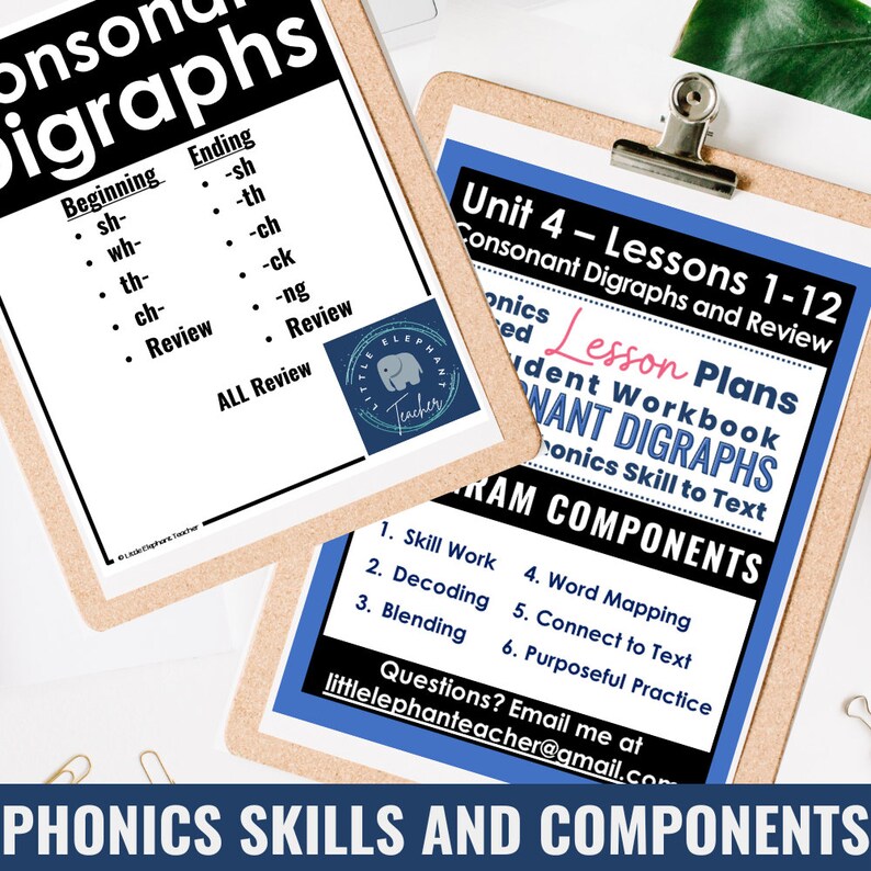 Reading Curriculum Consonant Digraphs Phonics Printable Worksheets ...