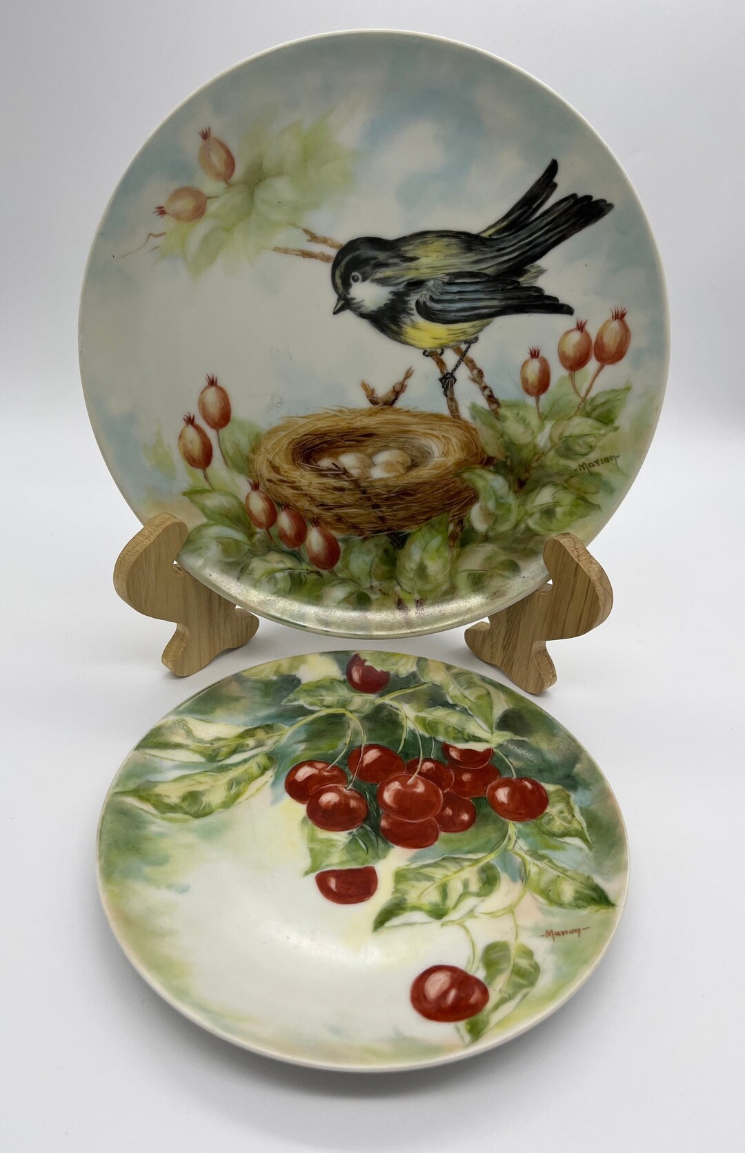 Vintage Set of Two Decorative Plates Nature Scene Bird Nest - Etsy