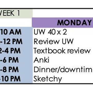 USMLE Step 1 Study Schedule - 8 Weeks - Etsy