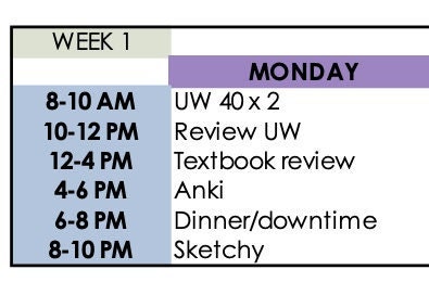 USMLE Step 1 Study Schedule - 8 Weeks - Etsy
