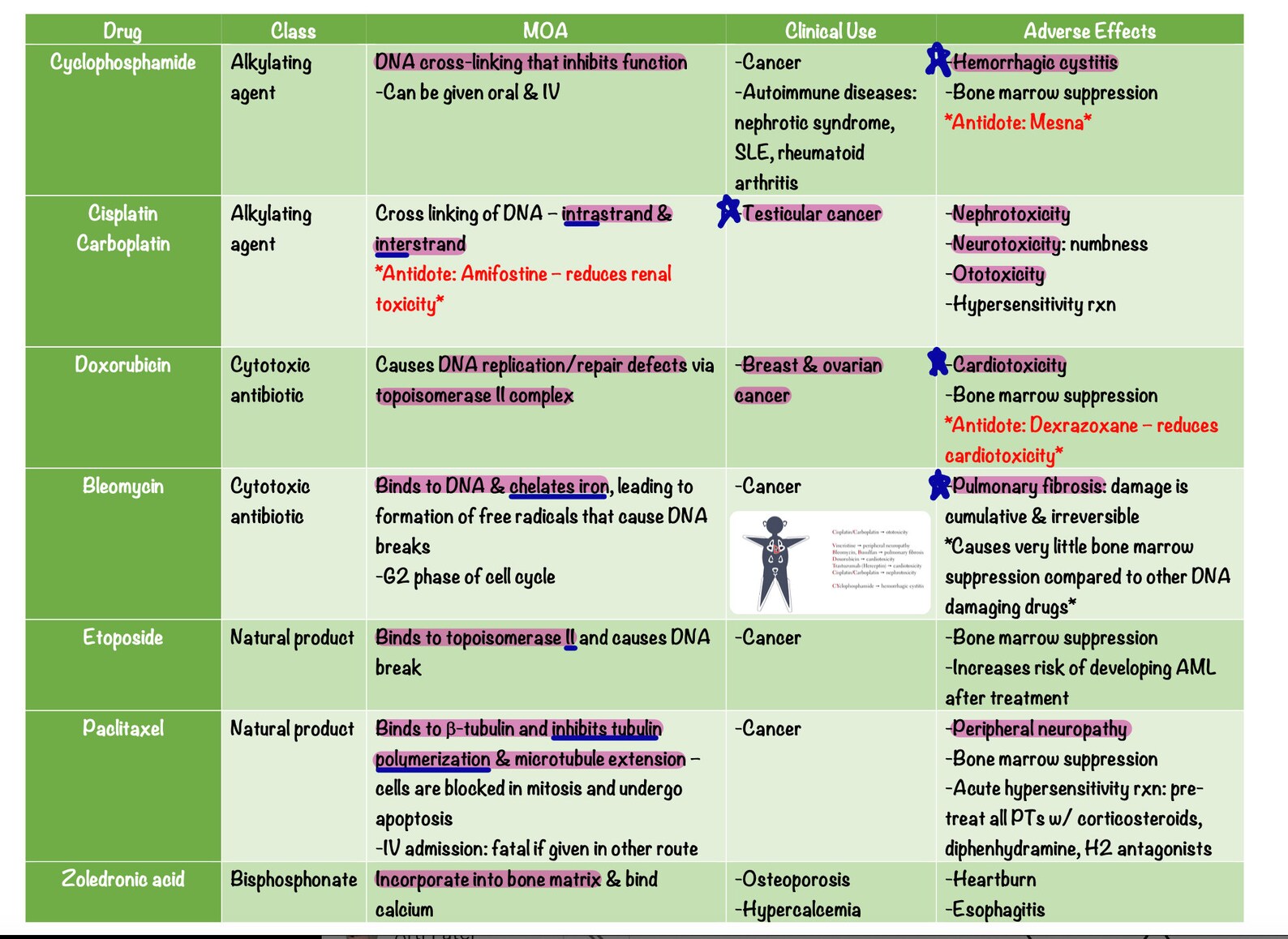 USMLE Step 1 Notes + Old Nbme/uwsa/free 120 Notes - Etsy