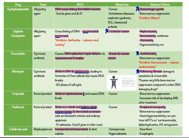 USMLE Step 1 Notes + Old Nbme/uwsa/free 120 Notes - Etsy