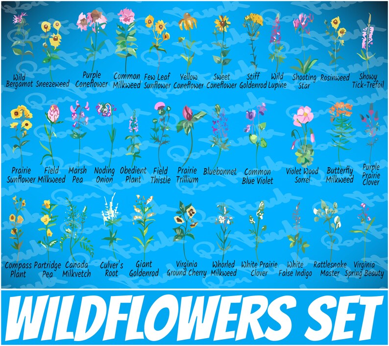 6 Texas Wildflowers Season SVG Bundle for Shirts / Wild Flowers PNG ...