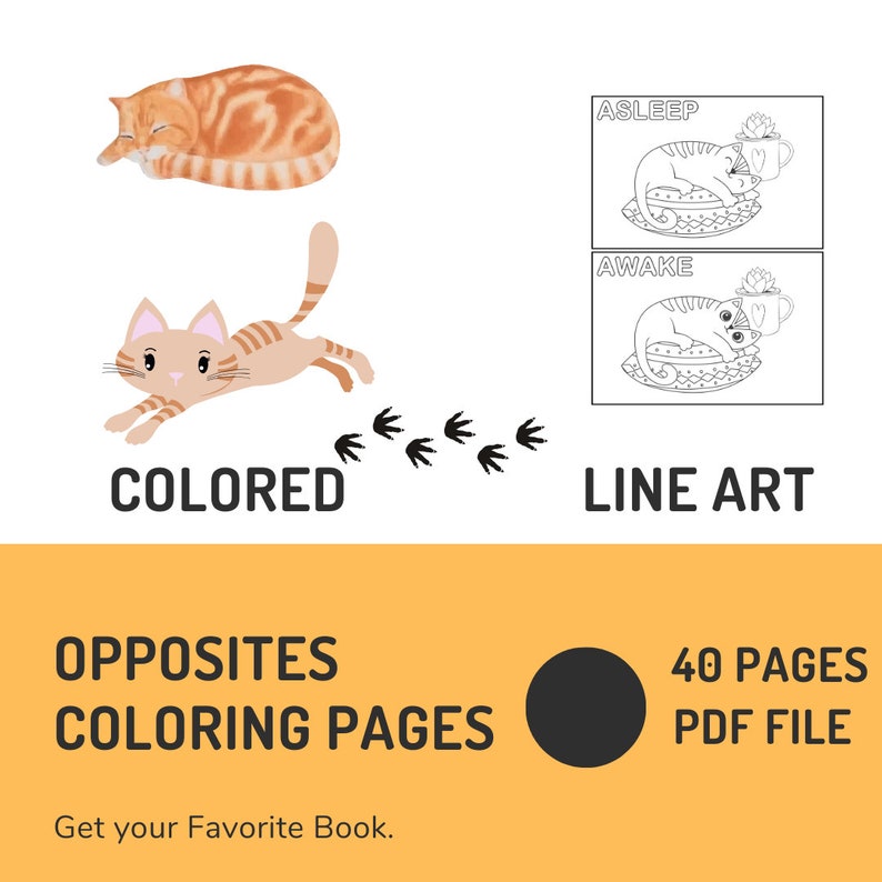 Opposites Coloring Pages 40 Images Digital Download PDF Download - Etsy