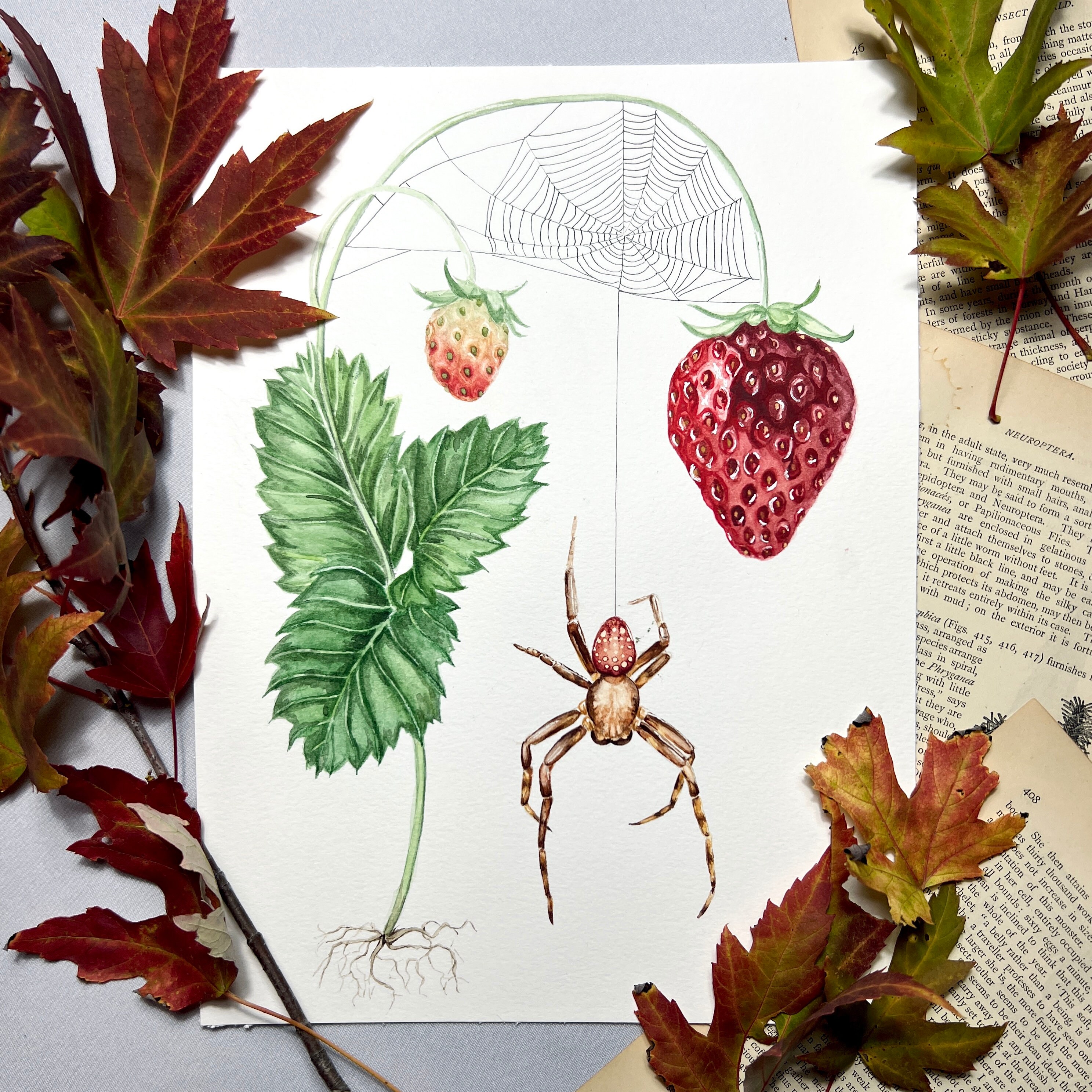 Watercolor Strawberry Spider Art Print. Spiderweb Art. Red Spider ...