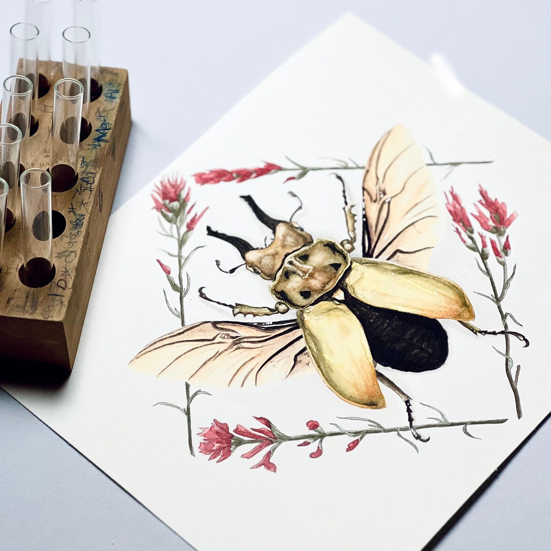 Watercolor Stag Beetle Art Print. Boho Floral Beetle Painting. Red ...