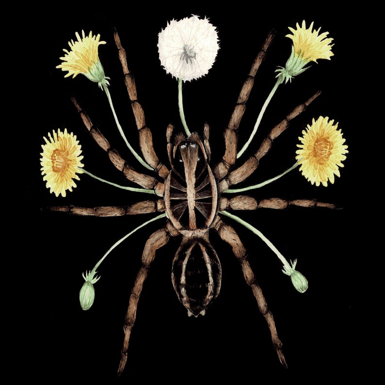 Watercolor Wolf Spider Art Print. Boho Floral Bug Painting. Science ...