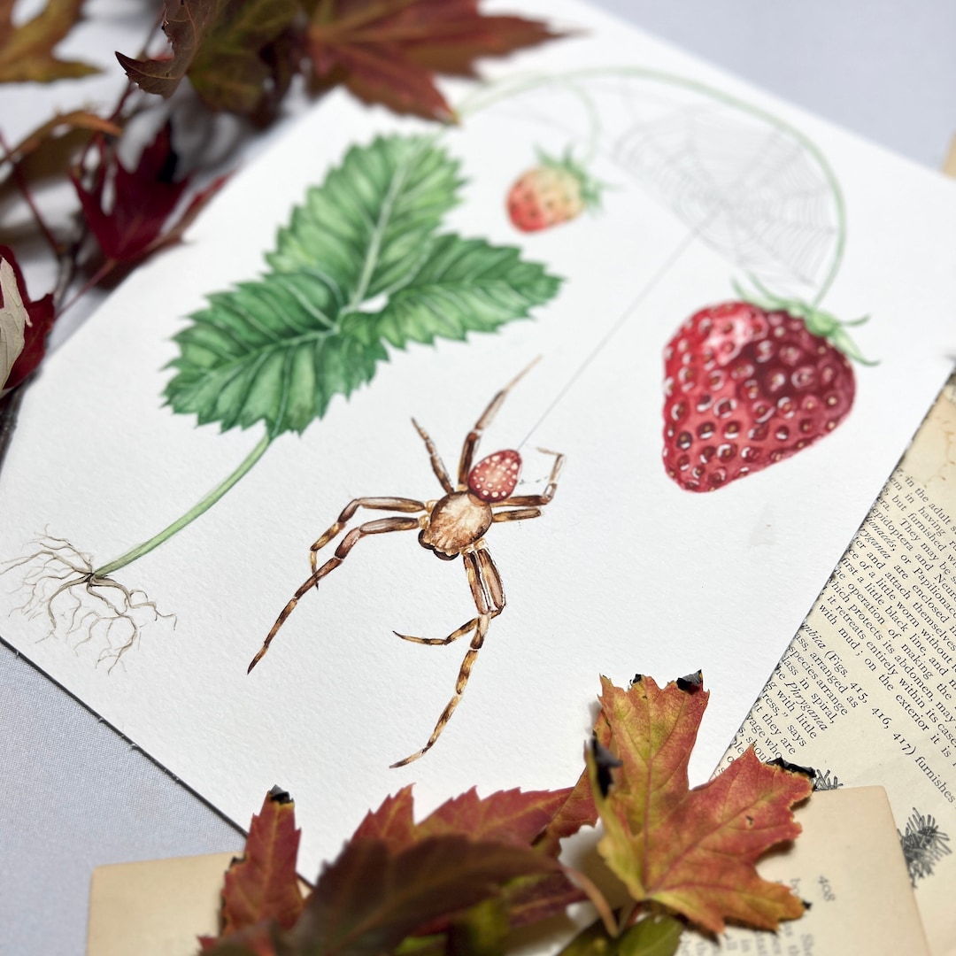 Watercolor Strawberry Spider Art Print. Spiderweb Art. Red Spider ...