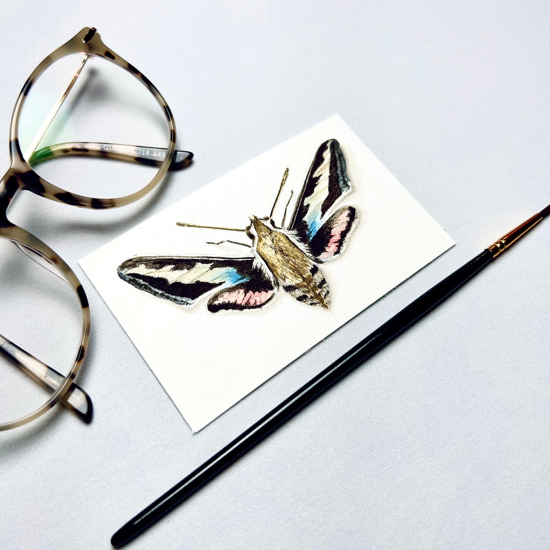 Watercolor Hawk Moth Art Print. Insect Painting. Moth Artwork ...