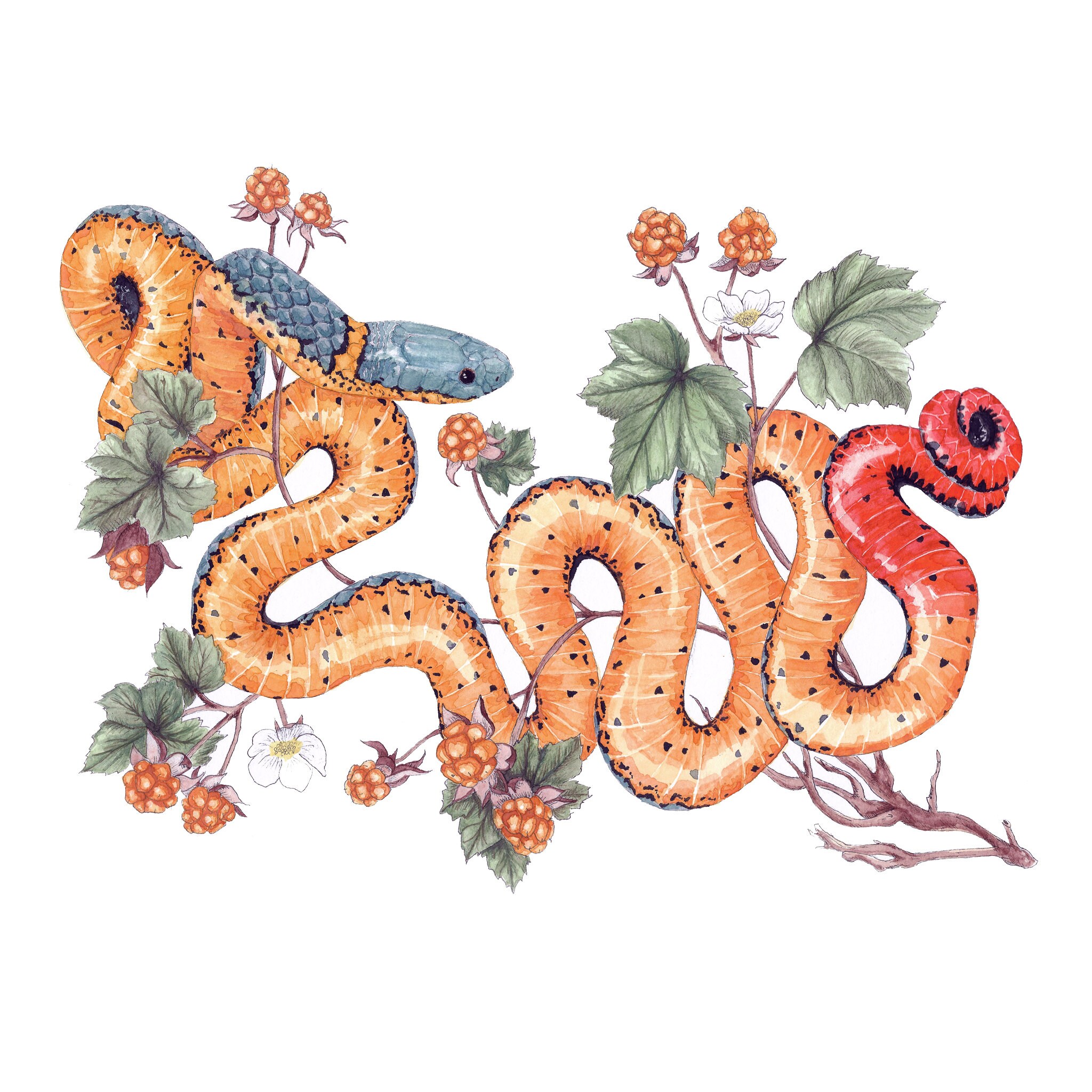 Watercolor Ring-necked Snake Art Print. Reptile Decor. Floral Painting ...