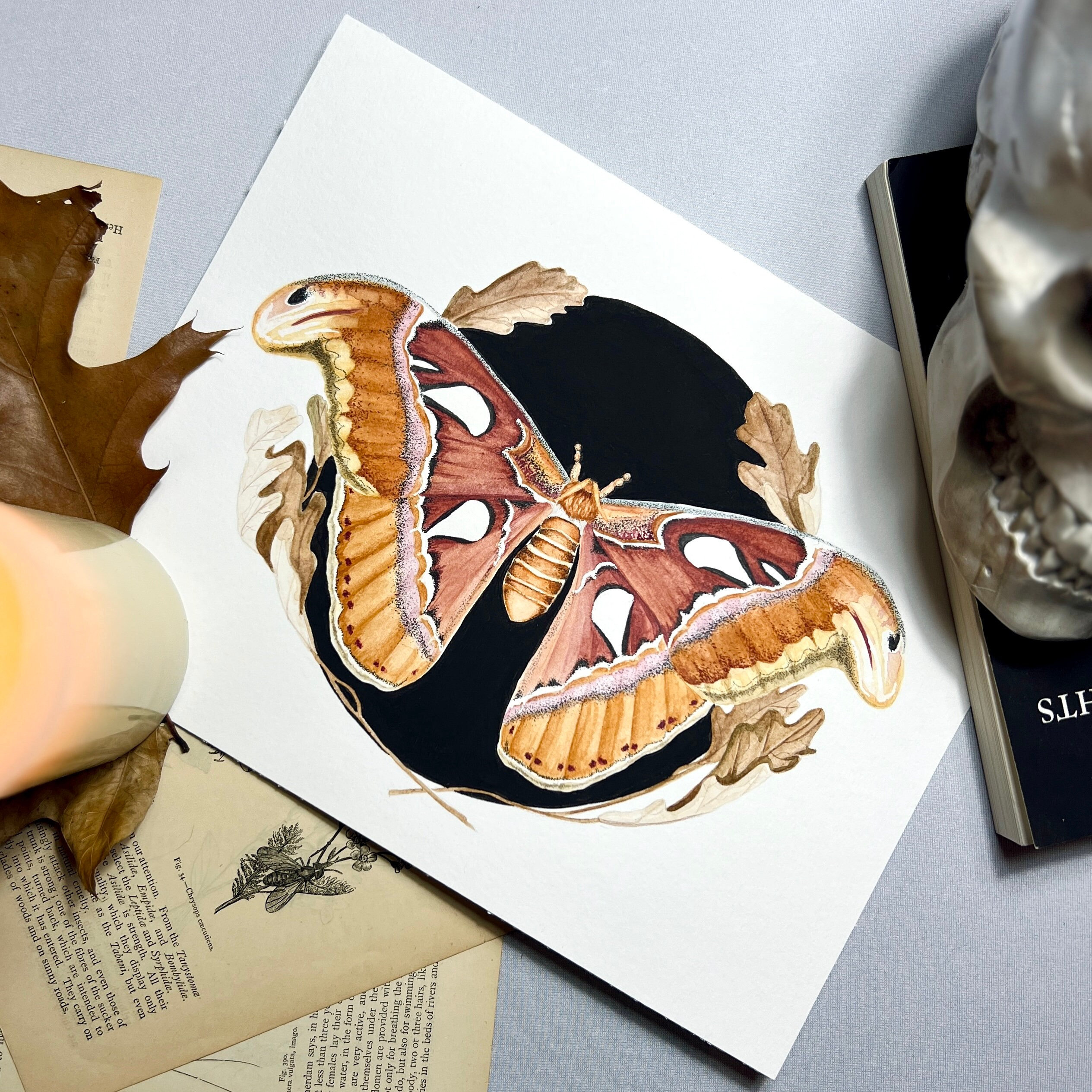Watercolor Moth Art Print. Atlas Moth Art. Dark Academia Art. Insect ...
