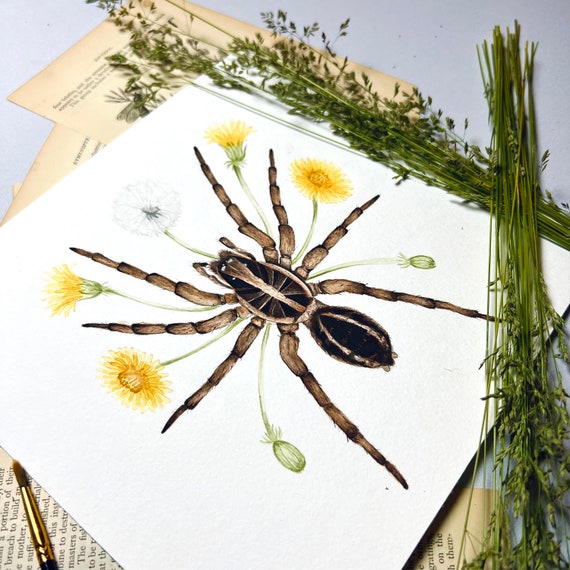 Beautiful Spiders Art