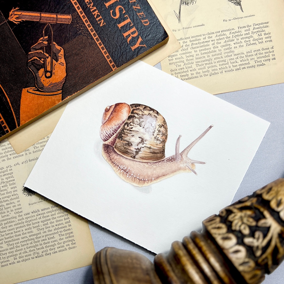 Watercolor Snail Art Print. Garden Nursery Decor. Snail Painting ...