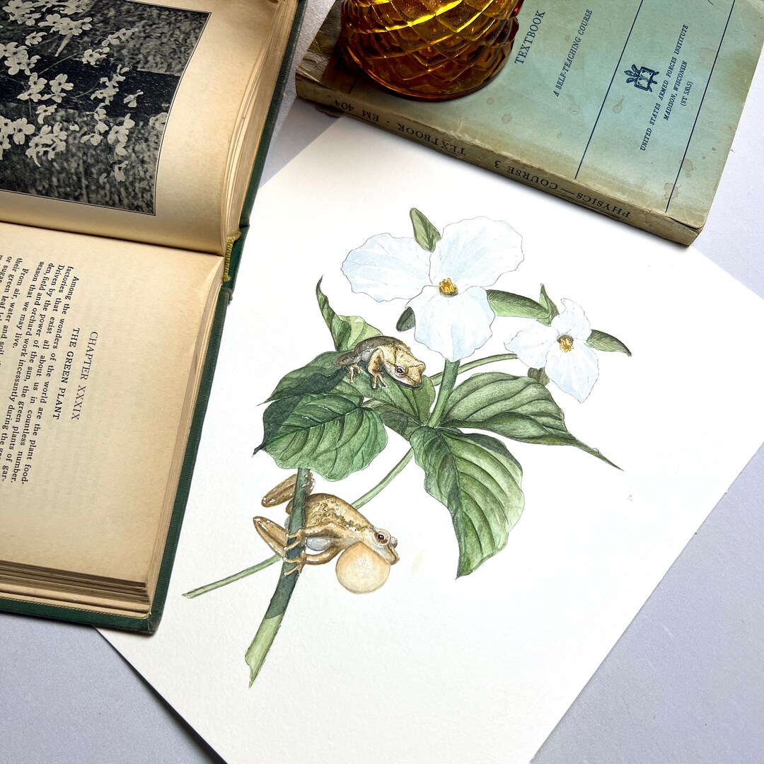 Watercolor Frog Art Print. Spring Peeper Illustration. Vintage ...