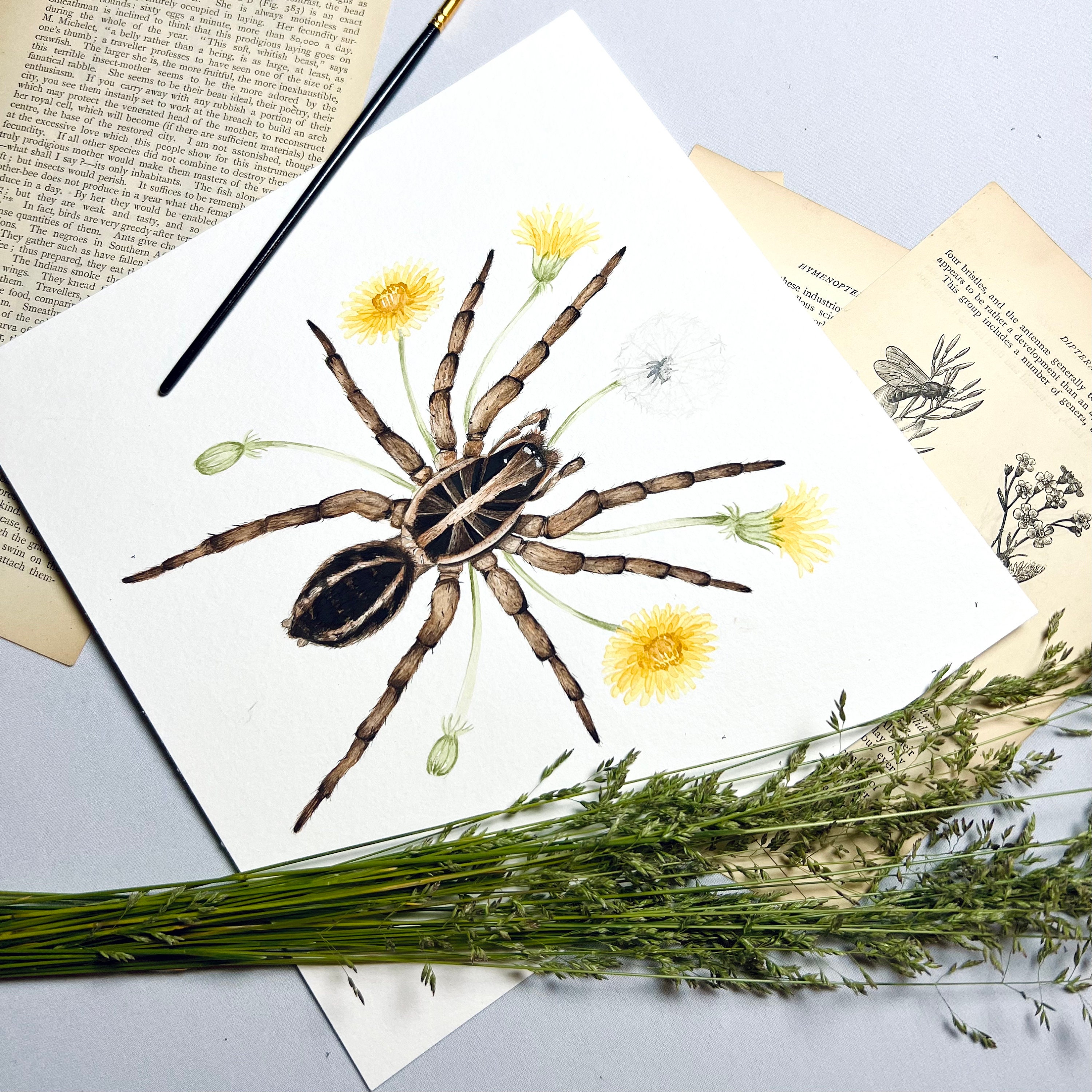 Watercolor Wolf Spider Art Print. Boho Floral Bug Painting. Science ...