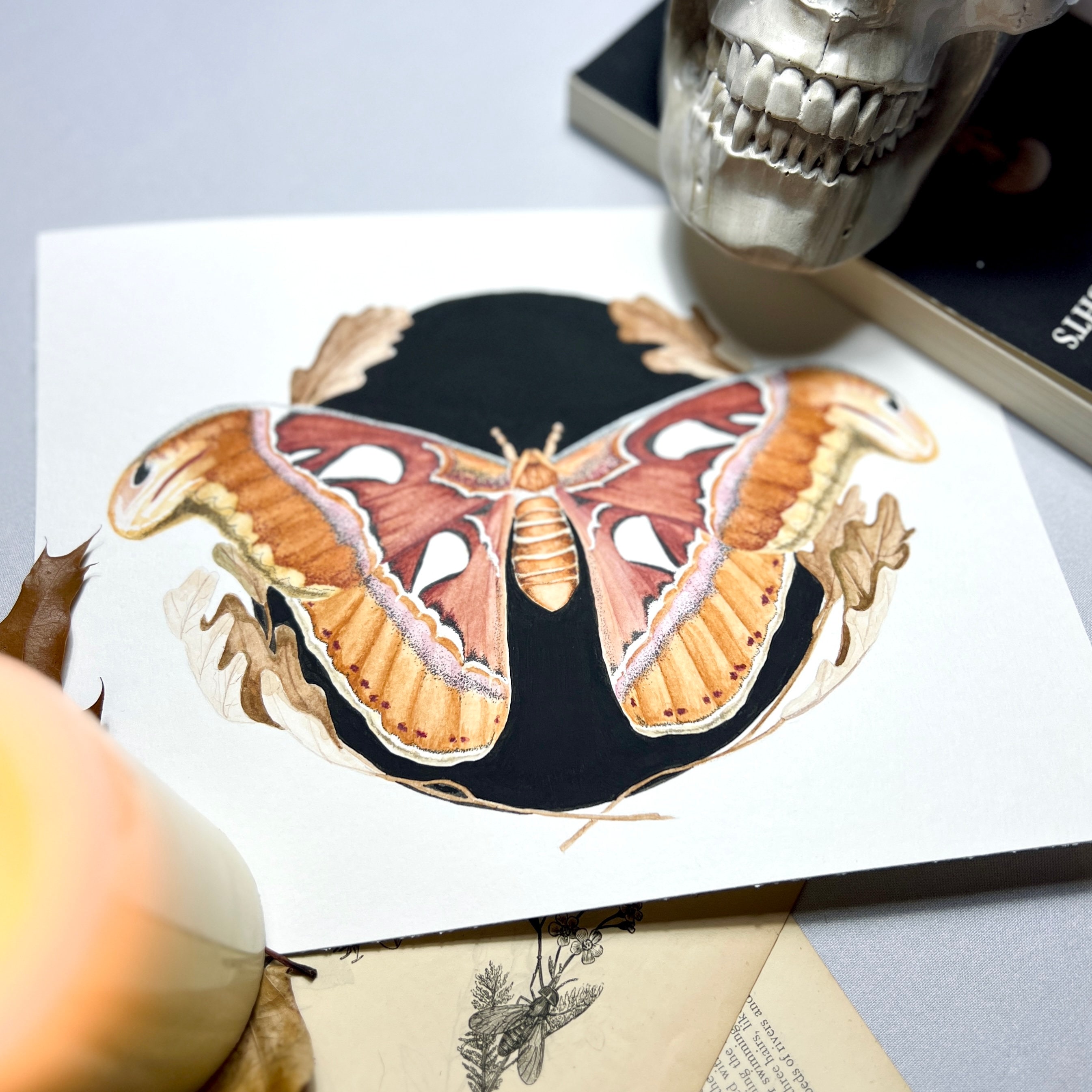 Watercolor Moth Art Print. Atlas Moth Art. Dark Academia Art. Insect ...