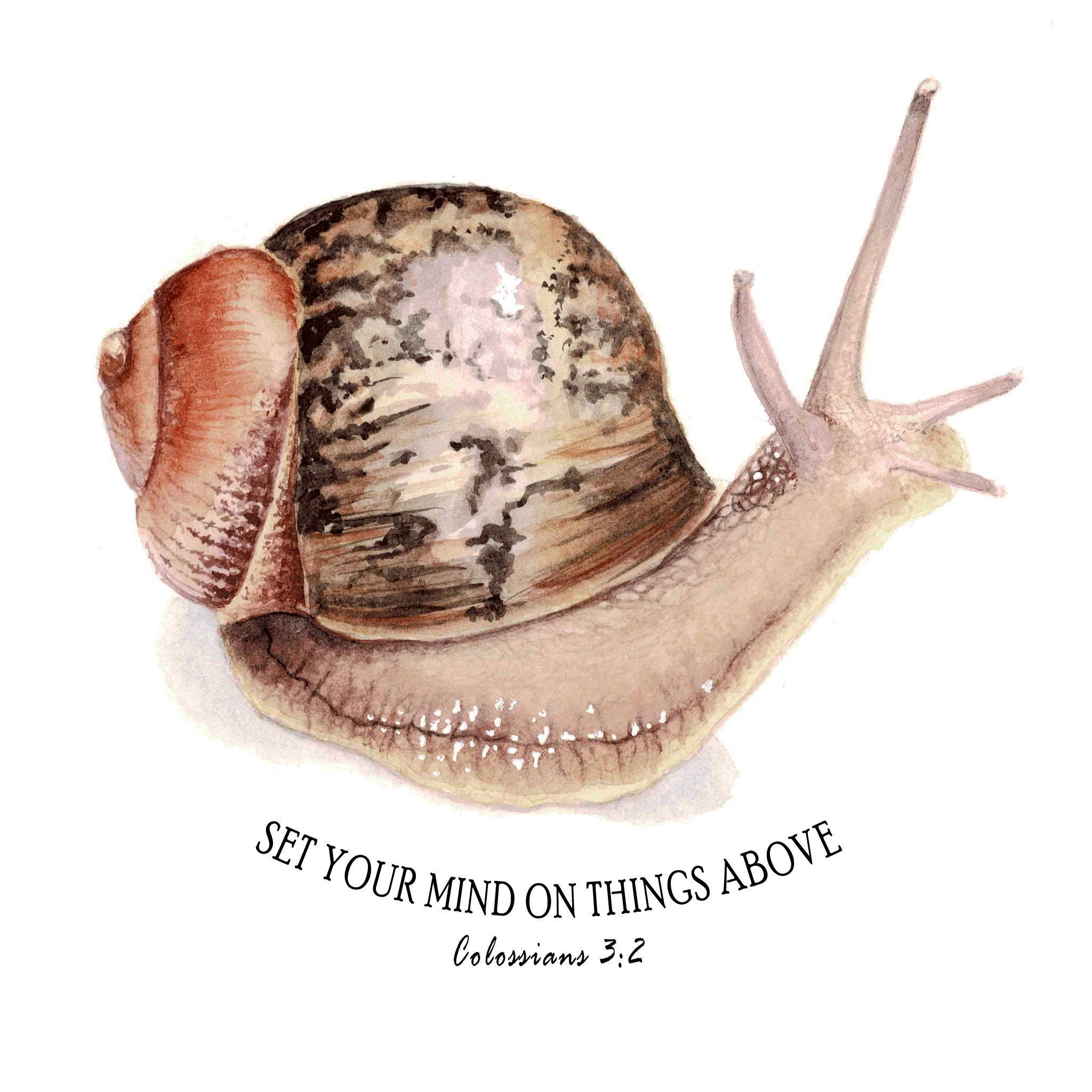 Christian Snail Art Print. Garden Nursery Decor. Christian - Etsy