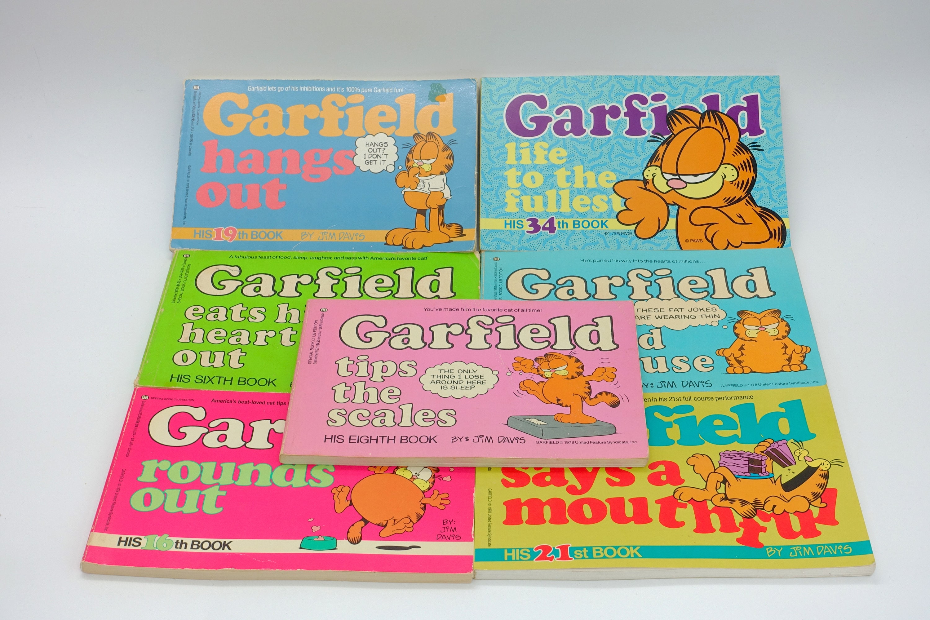 Classic Garfield Comic Strips