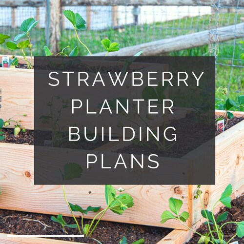 Easy Strawberry Planter Digital Building Plans - Etsy