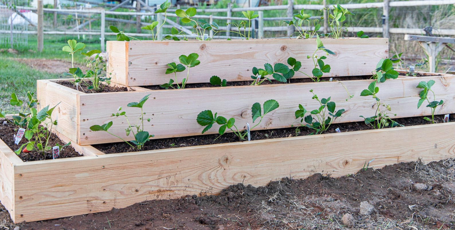 Easy Strawberry Planter Digital Building Plans - Etsy