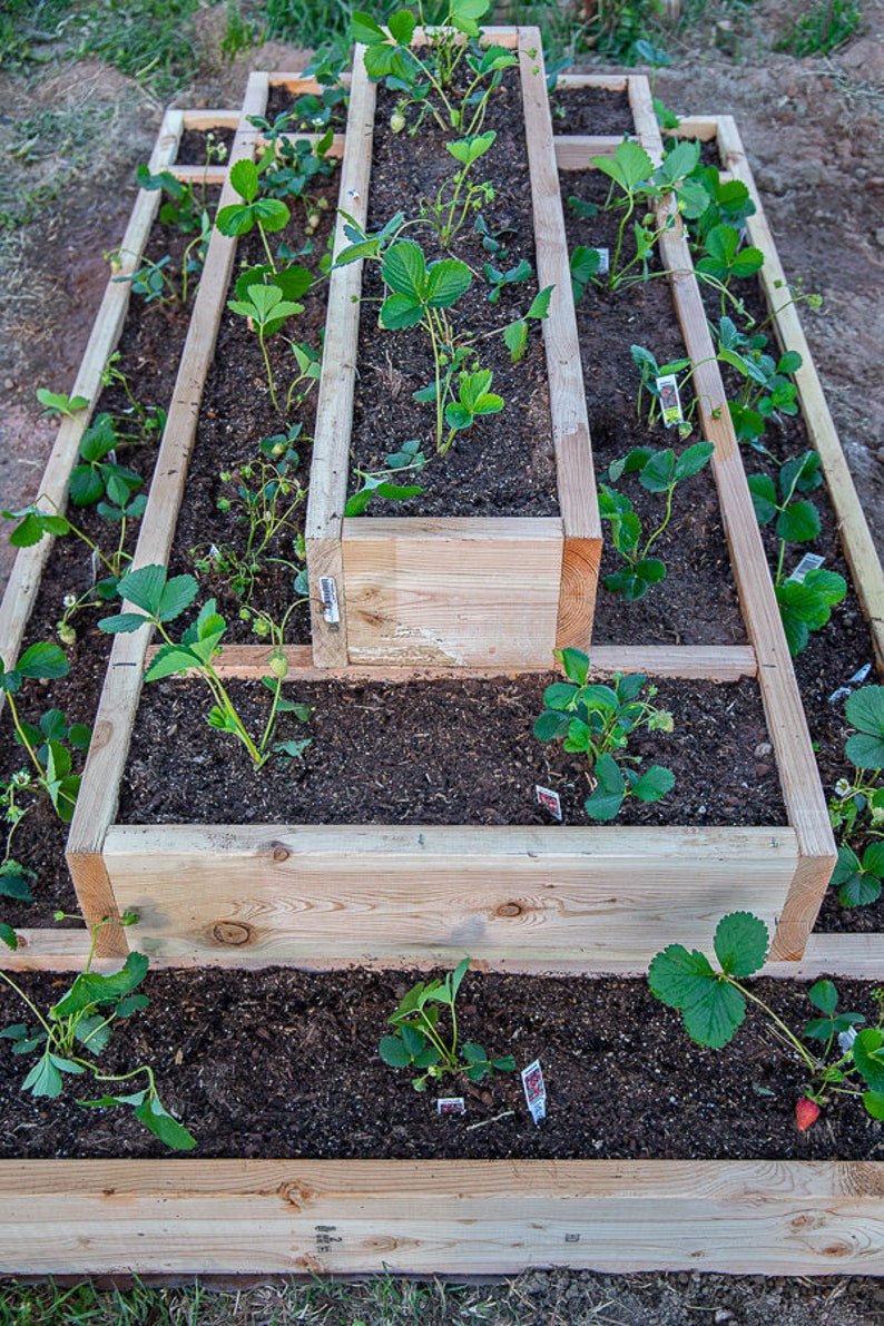 Easy Strawberry Planter Digital Building Plans - Etsy