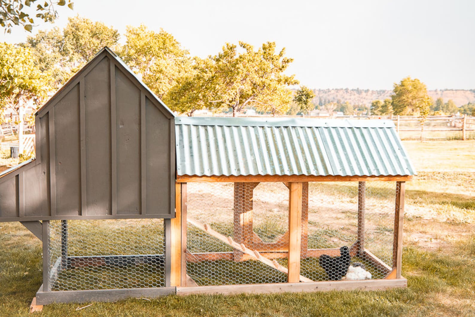 Small Chicken Coop Building Plans - Etsy