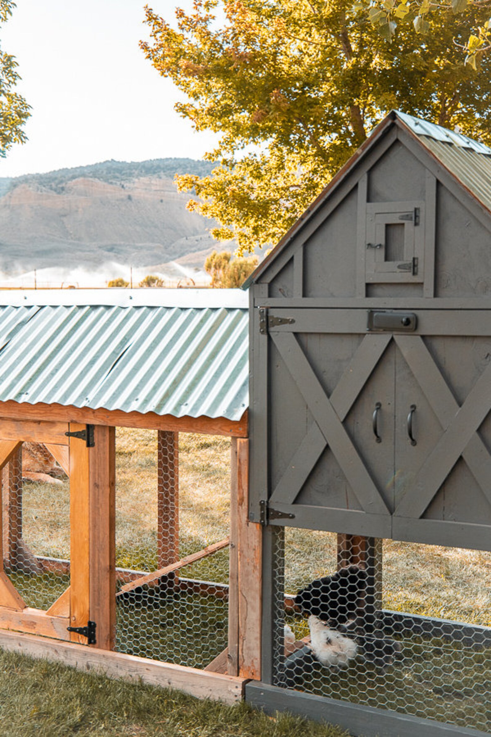 Small Chicken Coop Building Plans - Etsy