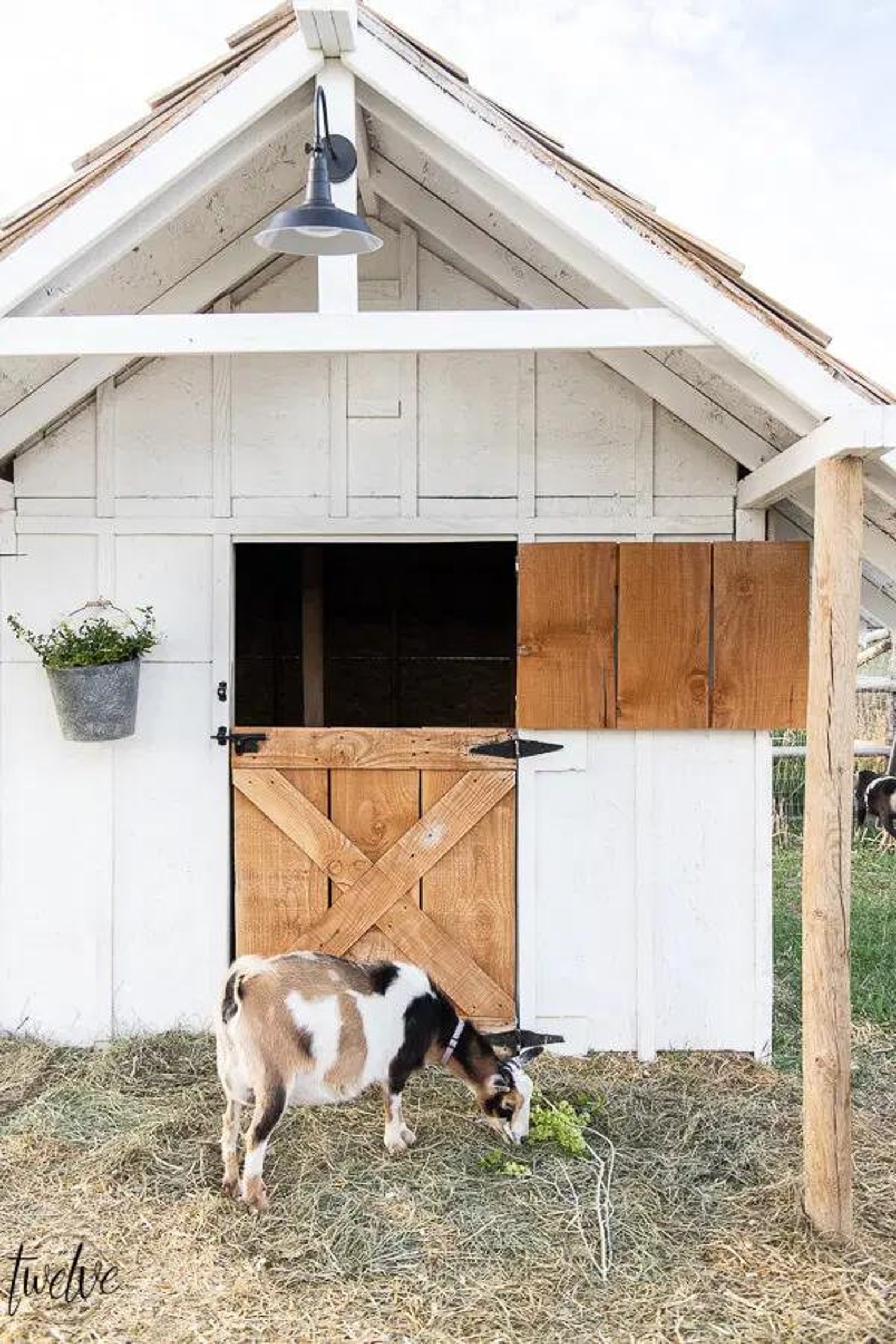 Stylish Goat House/shed Building Plans - Etsy