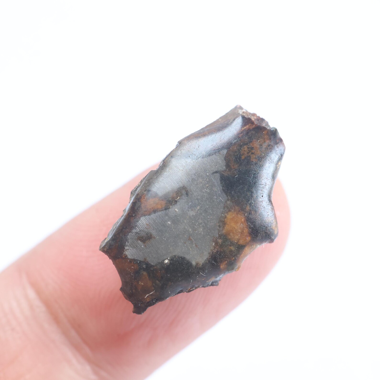 1.2g Kenya Pallasite Meteorite Slice , Natural Meteorite Slice, From ...