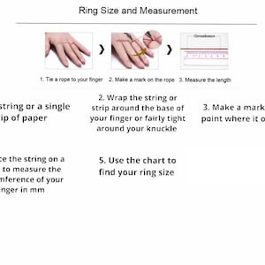 Meteorite Carved Ring, Natural Meteorite Ring, Muonionalusta Ring, Men ...