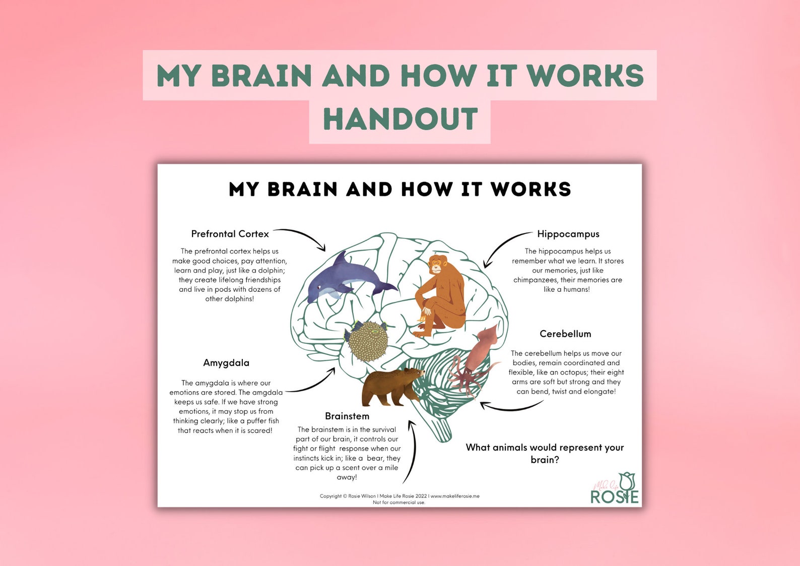My Brain and How It Works Handout for Teens. Trauma Resource, Mental ...