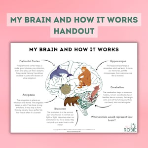My Brain and How It Works Handout for Teens. Trauma Resource, Mental ...
