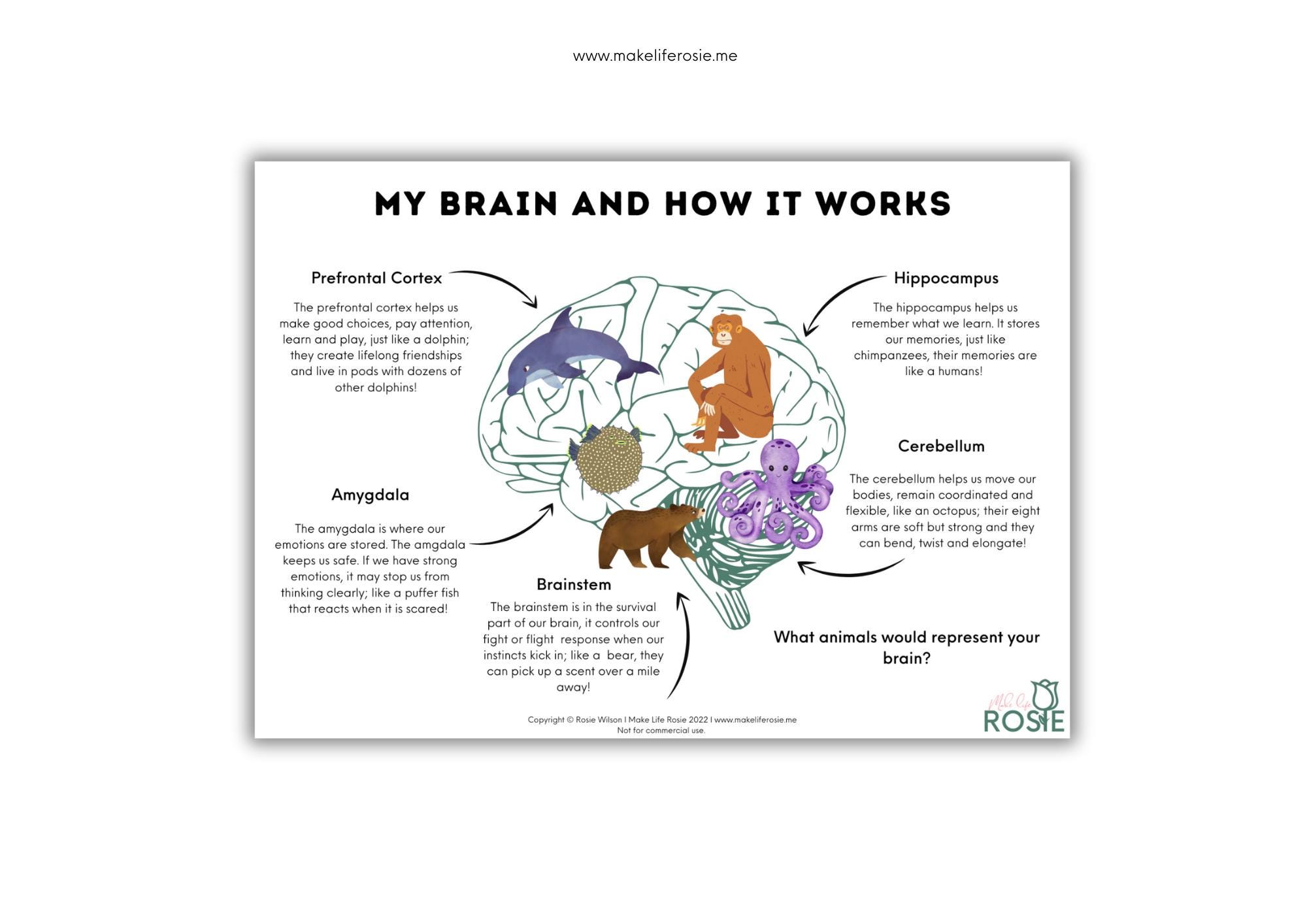 My Brain and How It Works Handout for Teens. Trauma Resource, Mental ...