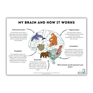 My Brain and How It Works Handout for Teens. Trauma Resource, Mental ...