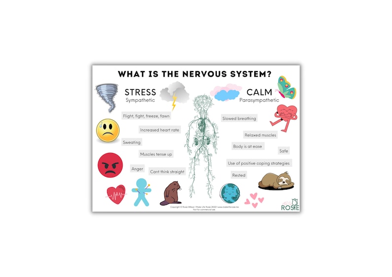 What is the Nervous System Handout for Teens and Kids. Mental Health ...
