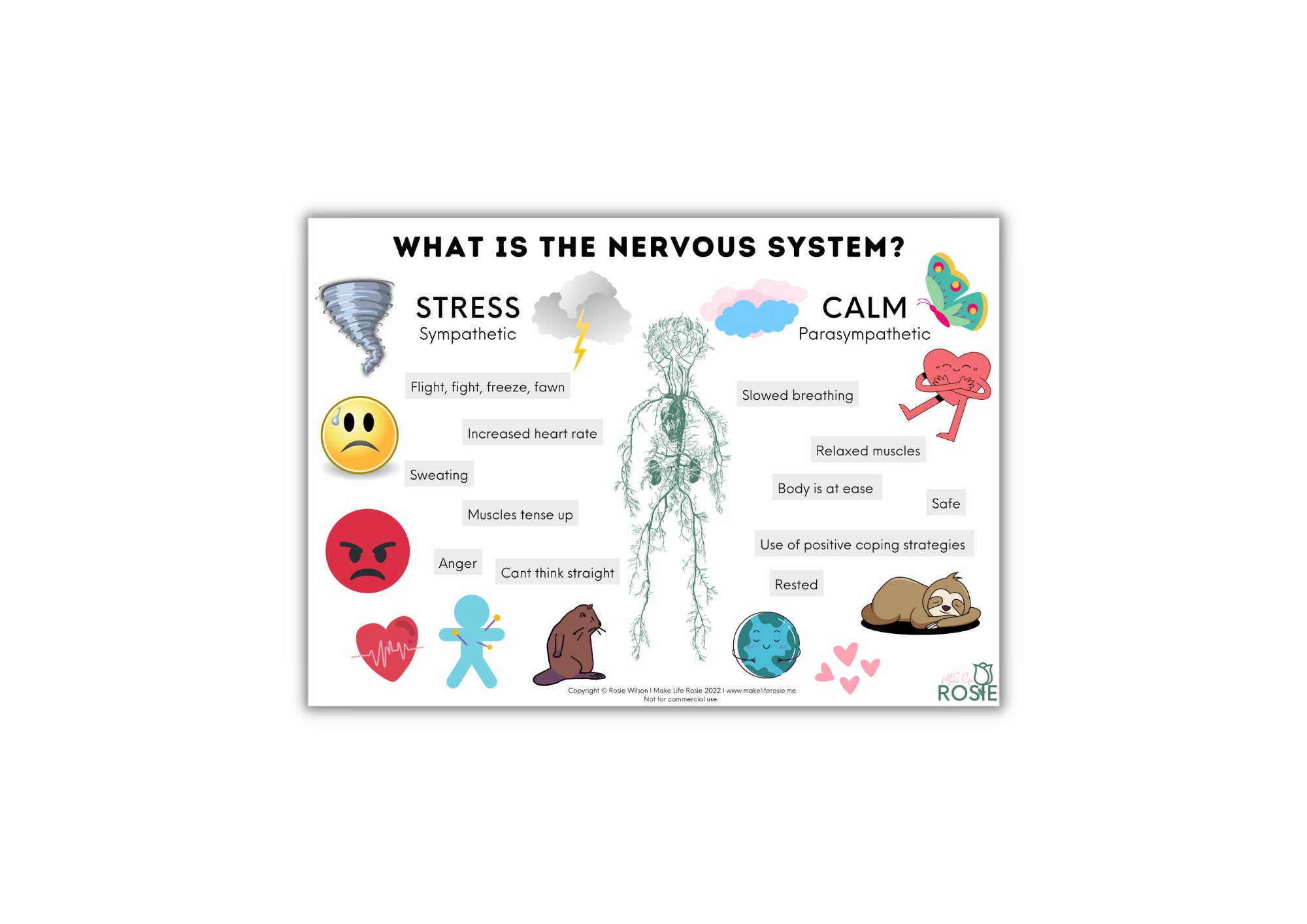 What is the Nervous System Handout for Teens and Kids. Mental Health ...