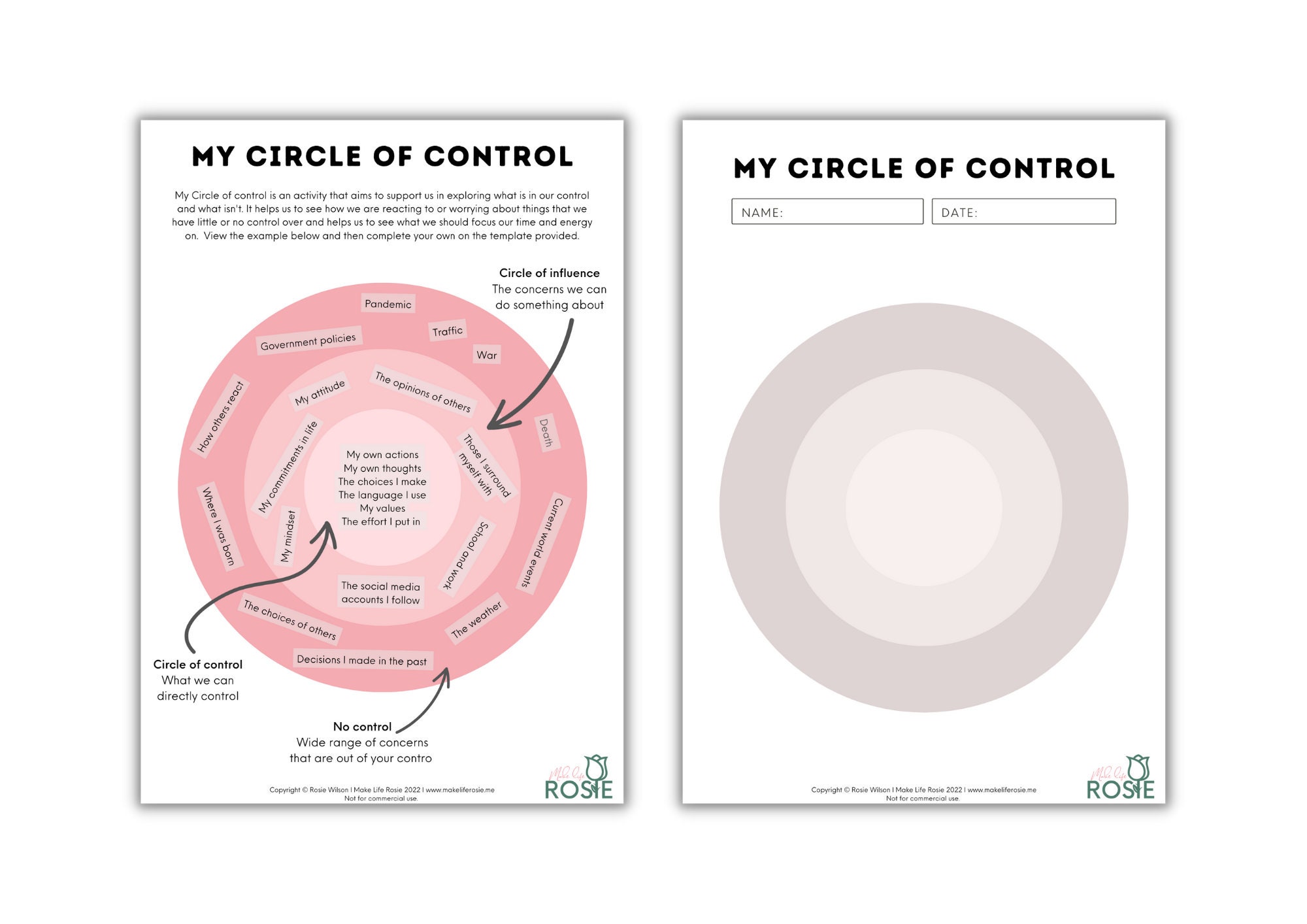 My Circle of Control Worksheet for Teens. Mental Health Printable ...