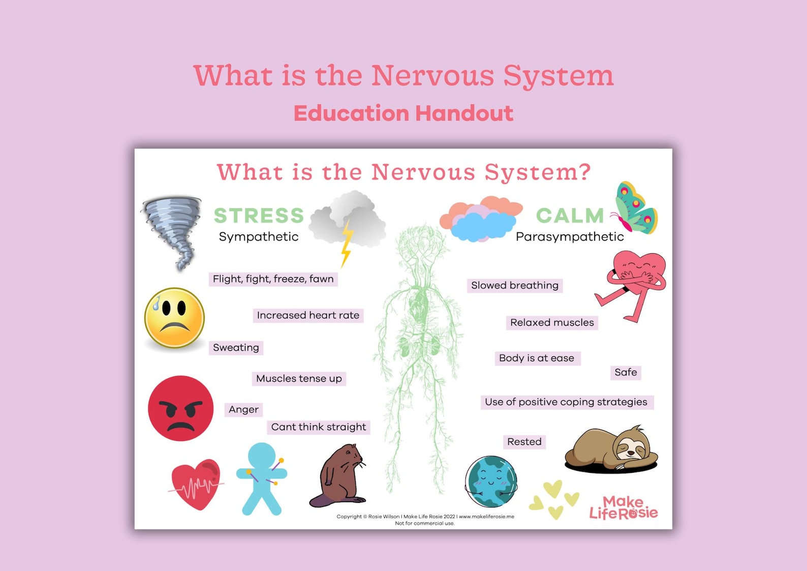 What is the Nervous System Handout for Teens and Kids. Mental Health ...