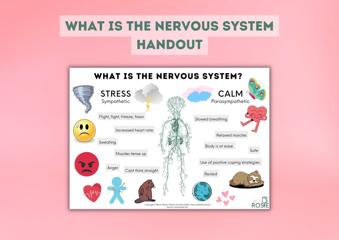 What is the Nervous System Handout for Teens and Kids. Mental Health ...