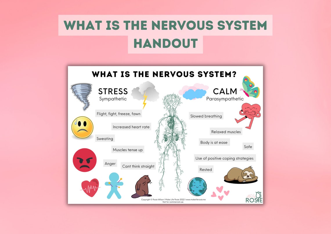 What is the Nervous System Handout for Teens and Kids. Mental Health ...