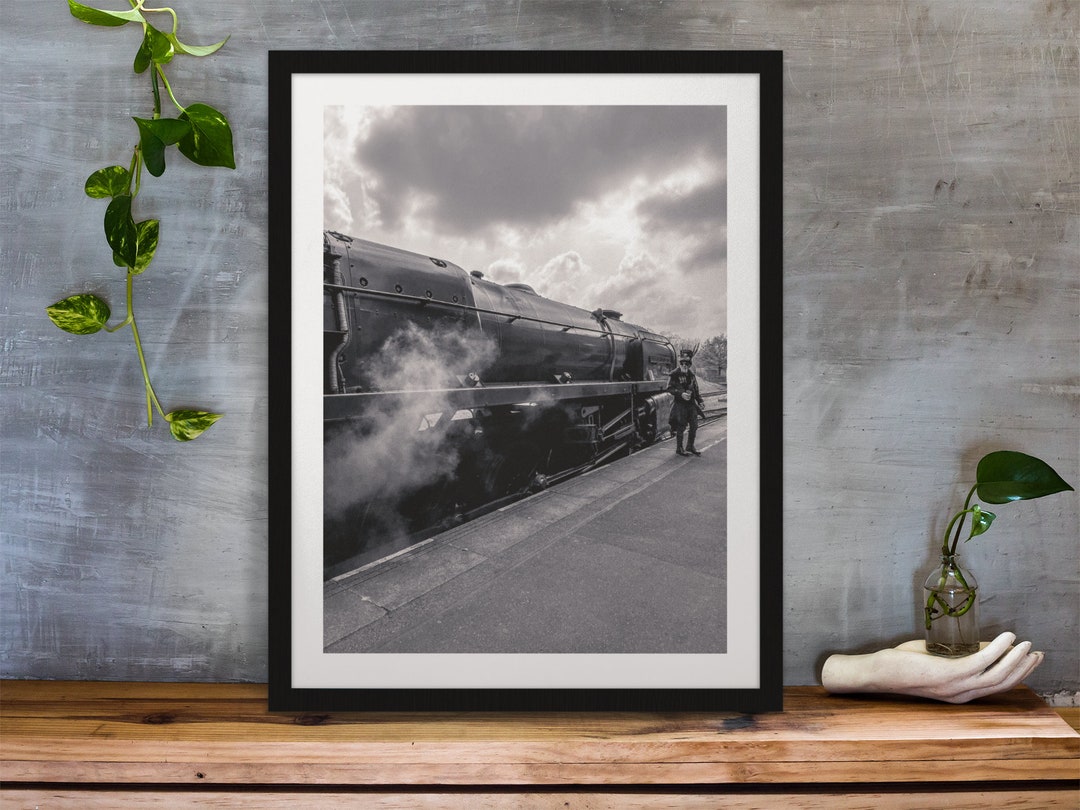 A2 and A3 Posters - Etsy Australia